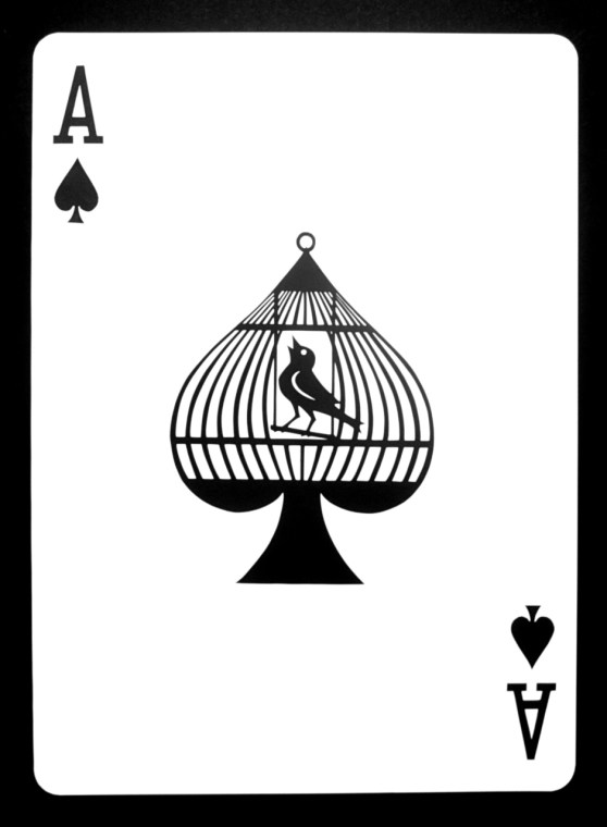 Clipped Wings Transformation Playing Cards by Emmanuel José | PLAYING ...