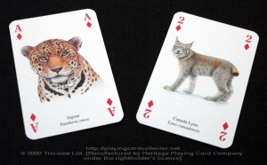 Heritage Playing Card Company: The Famous Wild Cats Playing Cards ...