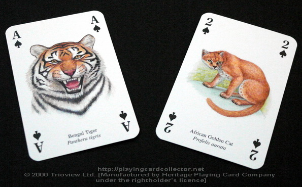 Heritage Playing Card Company: The Famous Wild Cats Playing Cards ...