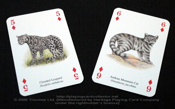 Heritage Playing Card Company: The Famous Wild Cats Playing Cards ...