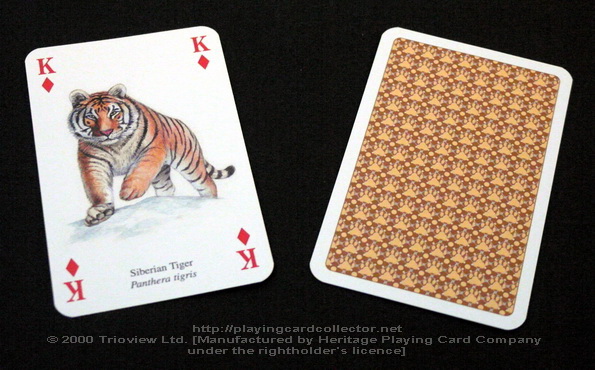 Heritage Playing Card Company: The Famous Wild Cats Playing Cards ...