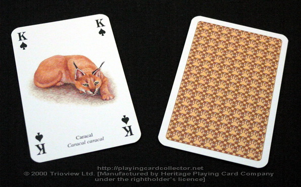 Heritage Playing Card Company: The Famous Wild Cats Playing Cards ...