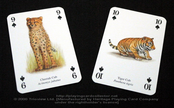 Heritage Playing Card Company: The Famous Wild Cats Playing Cards ...