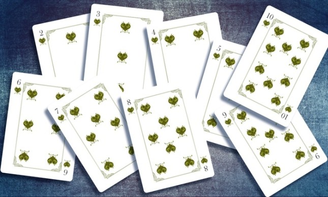Kickstarter: The Four Seasons Playing Cards by Ace Collectable Cards ...